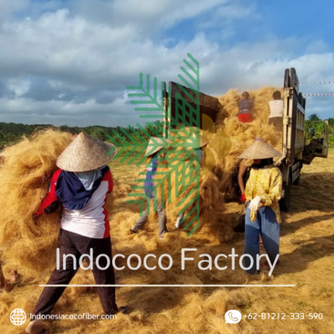 Indococo Factory - Indonesia Coco Fiber
